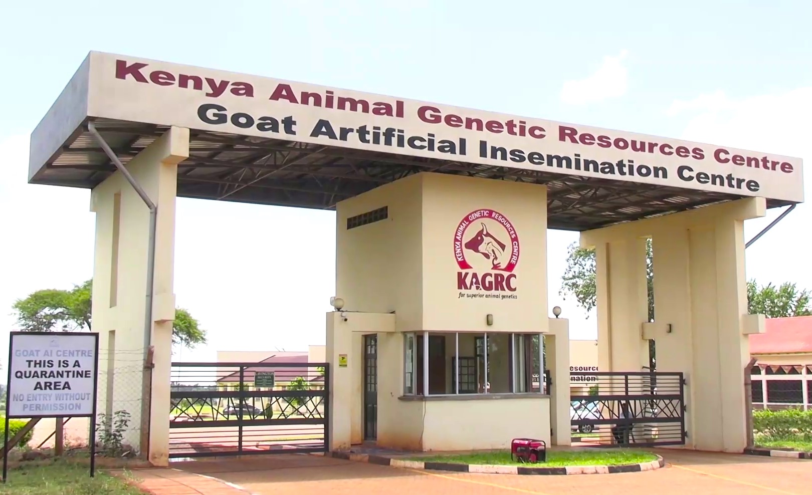 Artificial insemination centre drives profits for dairy goat farmers in ...